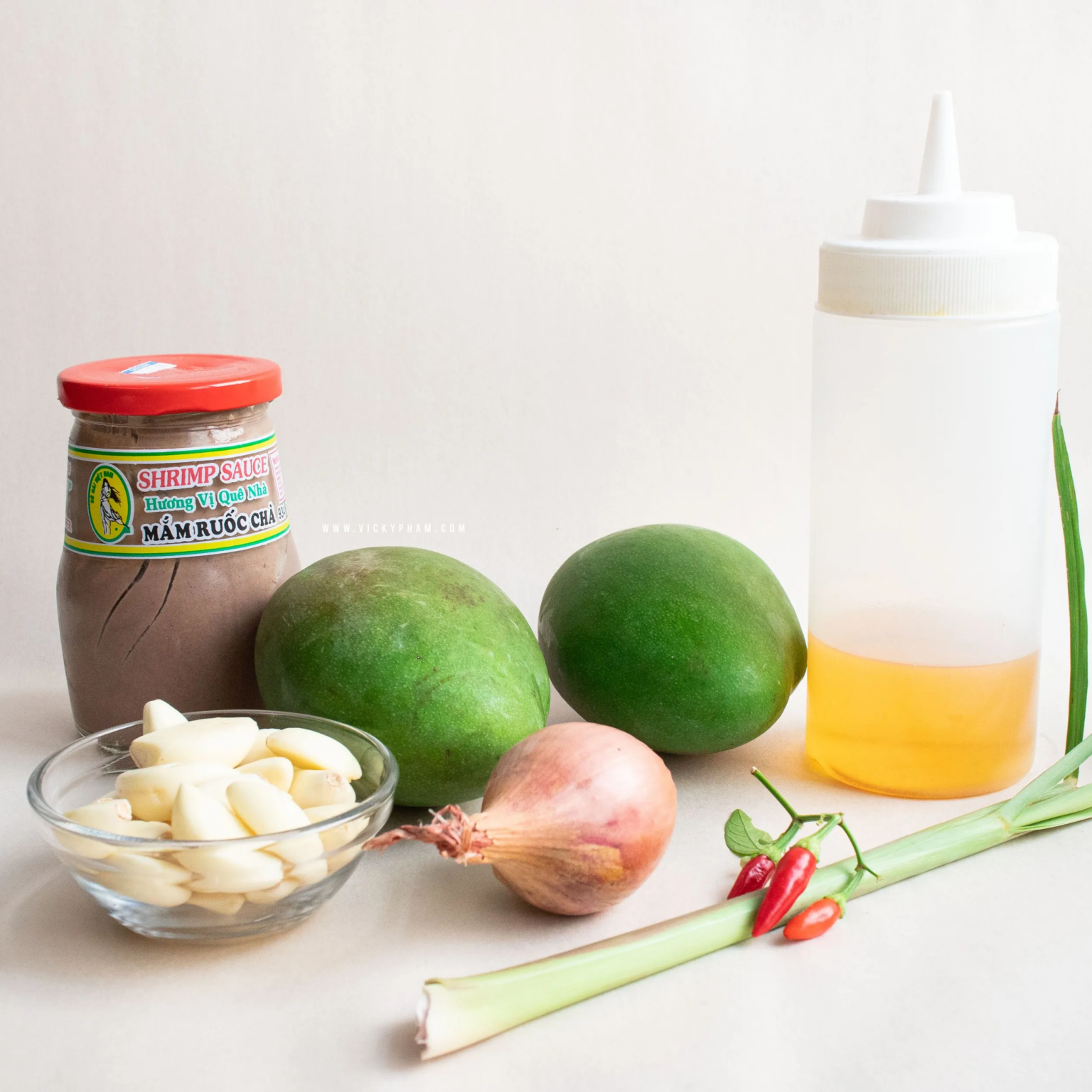 Fermented Fine Shrimp Paste Dipping Sauce (Mam Ruoc)