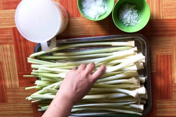 Vietnamese Pickled Wild Water Lily Stems (Bon Bon Muoi Chua)